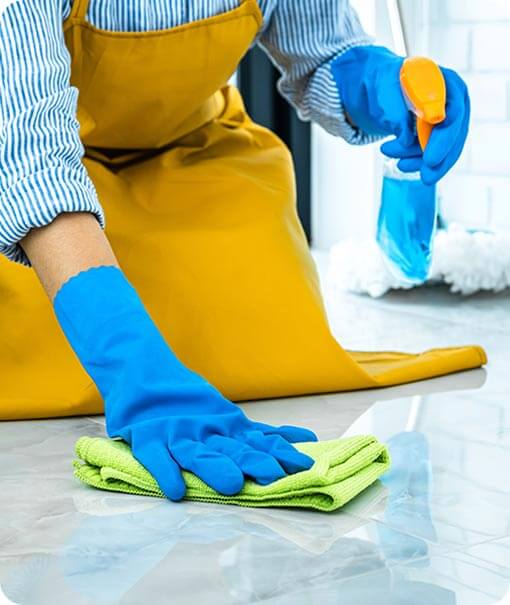 Inicio - Magnum Clean S.L
